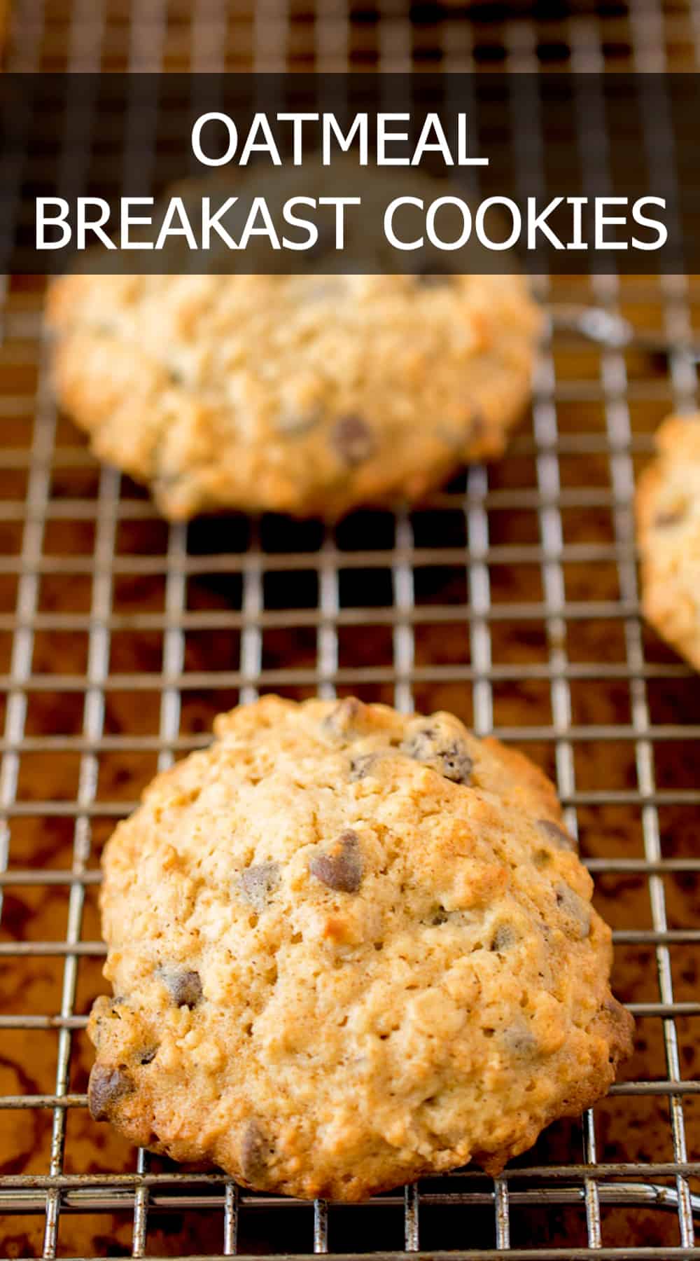 Oatmeal Breakfast Cookies - Culinary Ginger