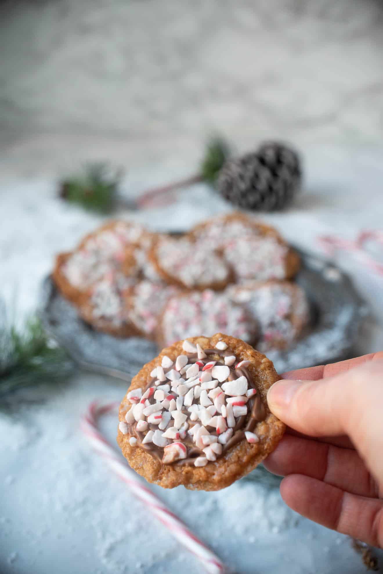 Peppermint Florentine Cookies - Culinary Ginger