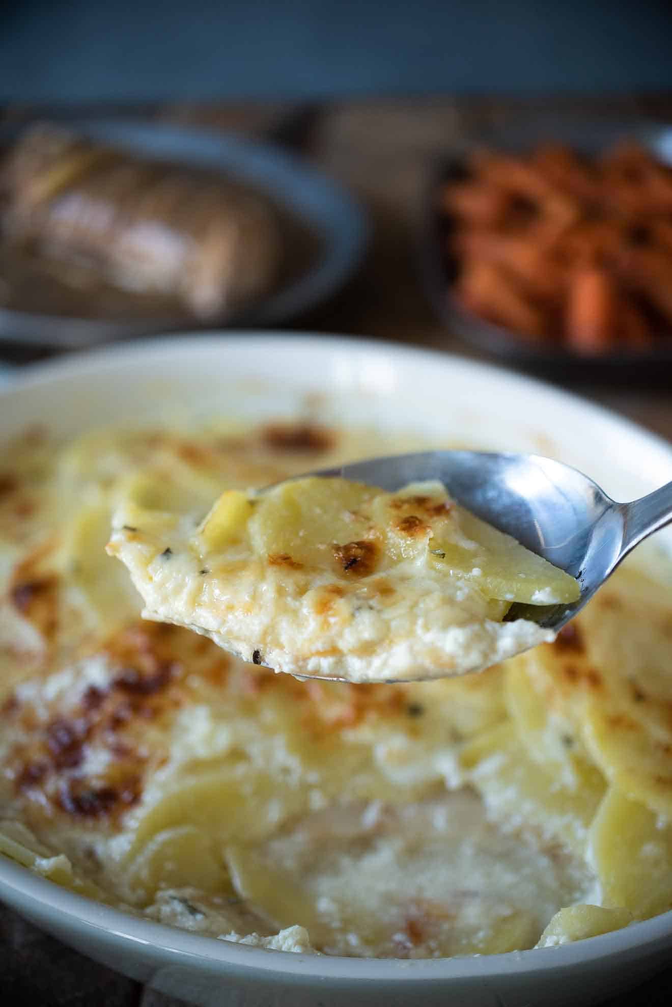 Potato and Celery Root Gratin - Culinary Ginger